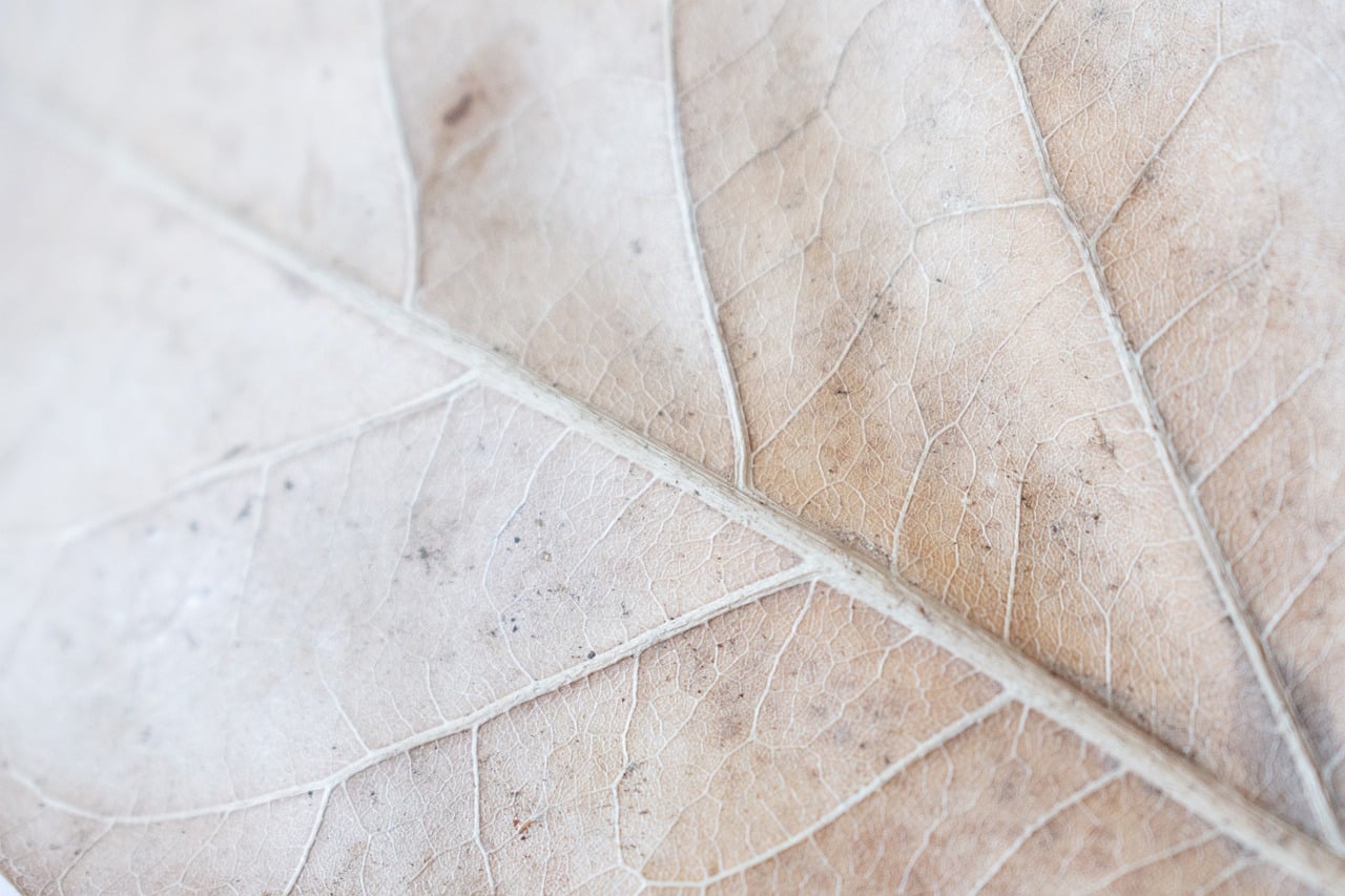 Faire du beige en peinture, les meilleures solutions à adopter - Salon ...